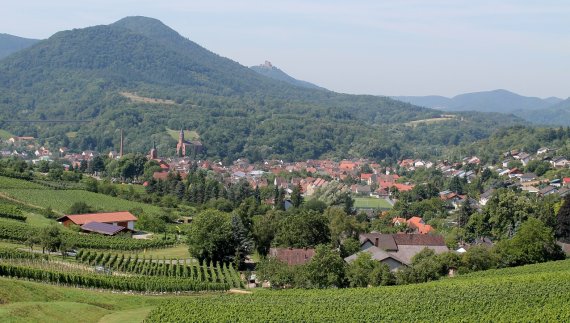 Albersweiler | Verbandsgemeinde Annweiler am Trifels